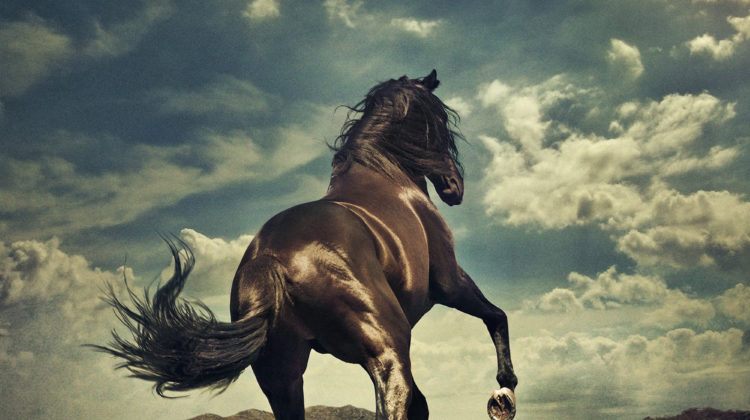 Bruce Springsteen Archives - America Top 10